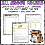 All About Fossils | Made By Teachers