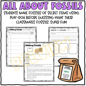 All About Fossils - Made By Teachers