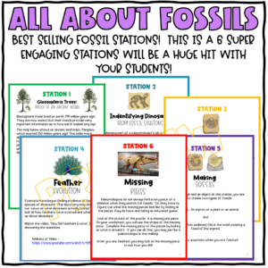 All About Fossils | Made By Teachers