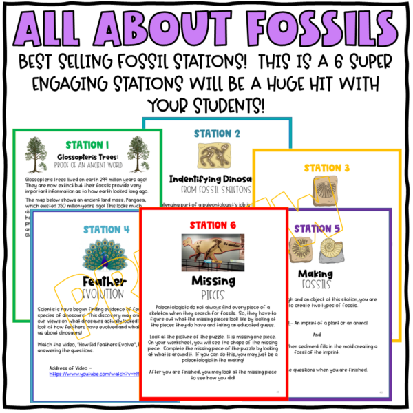 All About Fossils | Made By Teachers