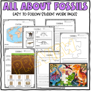 All About Fossils - Made By Teachers