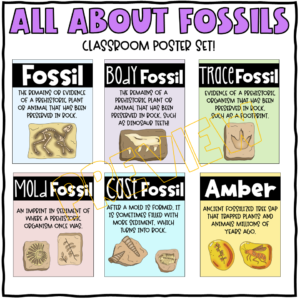 All About Fossils - Made By Teachers