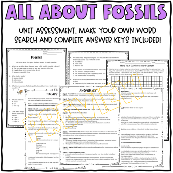 All About Fossils | Made By Teachers