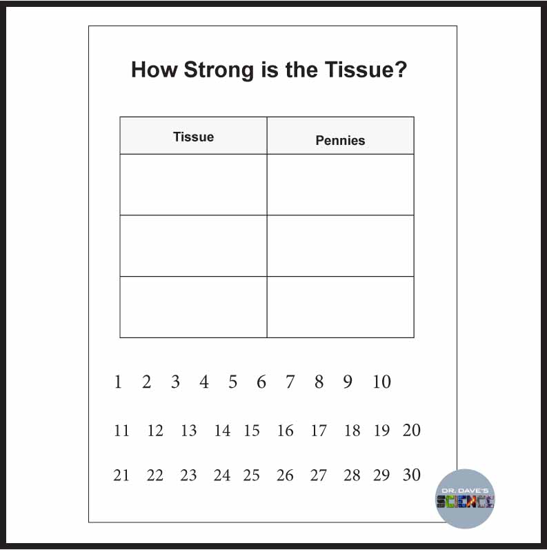 Primary STEM Science Activity How Strong are Tissues? | Made By Teachers