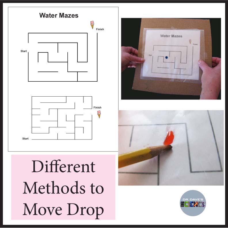 Wax Paper and Water Science Activity Kindergarten First Grade Primary ...