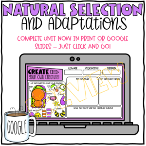 Natural Selection and Adaptations | Made By Teachers