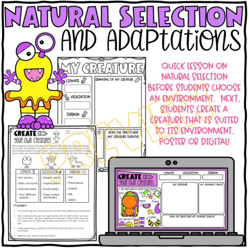 Natural Selection and Adaptations | Made By Teachers
