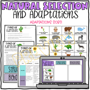 Natural Selection and Adaptations | Made By Teachers