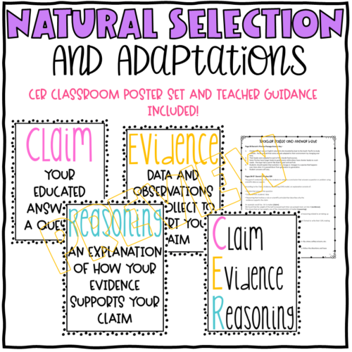 Natural Selection and Adaptations - Made By Teachers