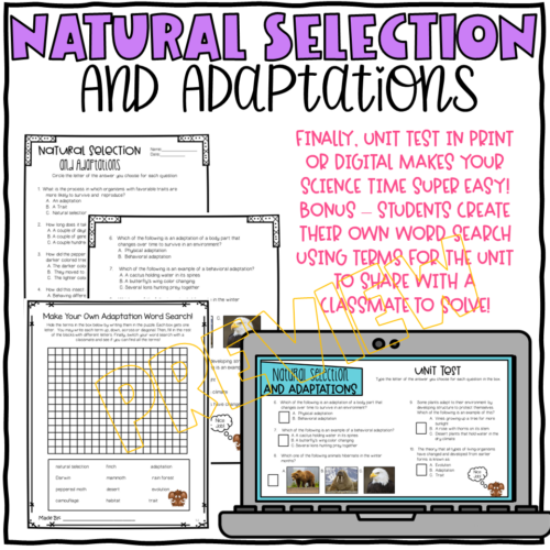 Natural Selection and Adaptations - Made By Teachers
