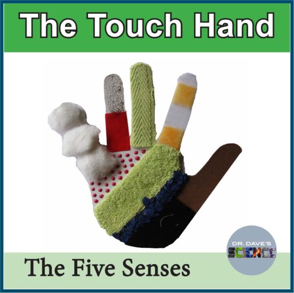 Five Senses Touch Activity | Made By Teachers