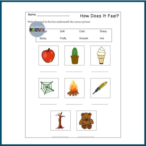 Five Senses Touch Activity | Made By Teachers