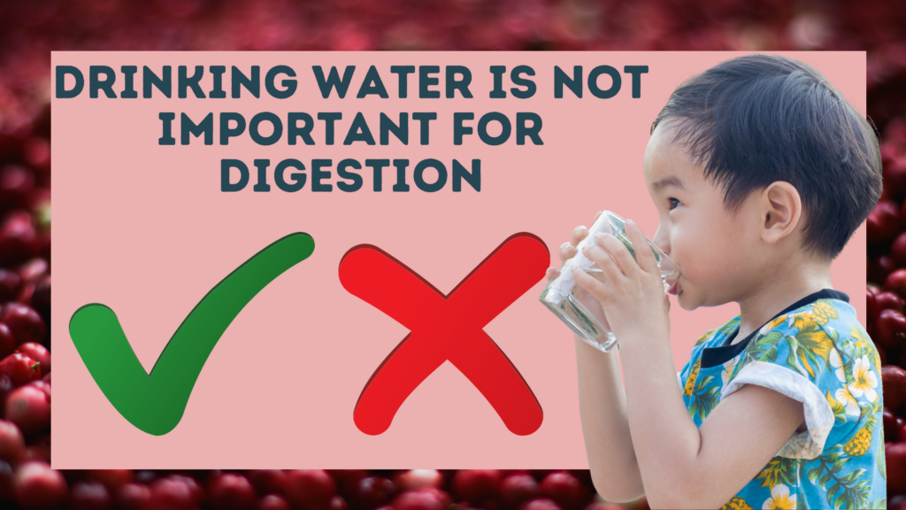 Digestive System Science Digital Boom Card Deck | Made By Teachers