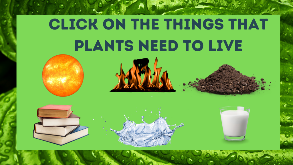 Plants as Living Things Science Digital Boom Card Deck Online Quiz ...