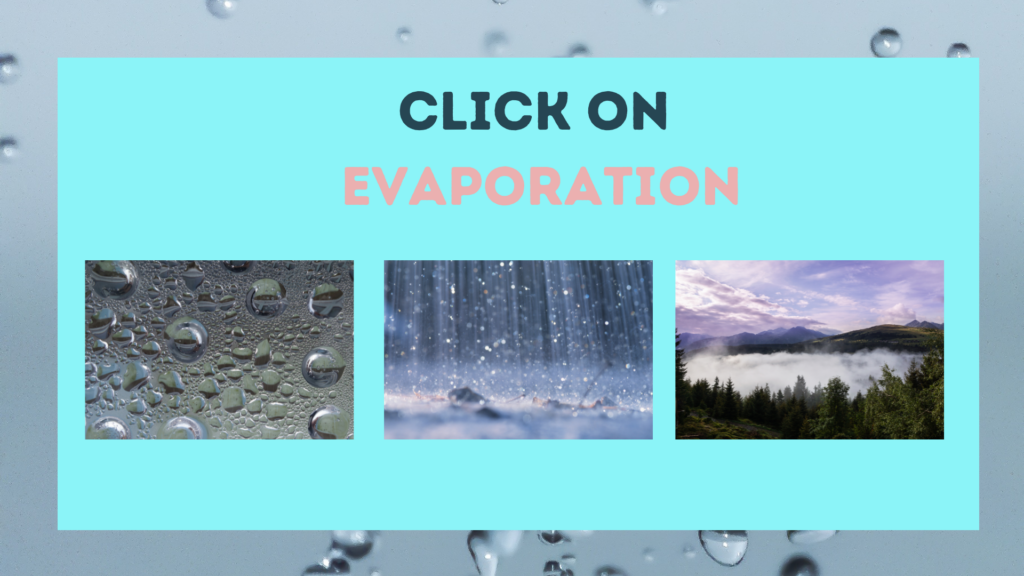 Water Cycle Science Digital Boom Card Deck | Made By Teachers