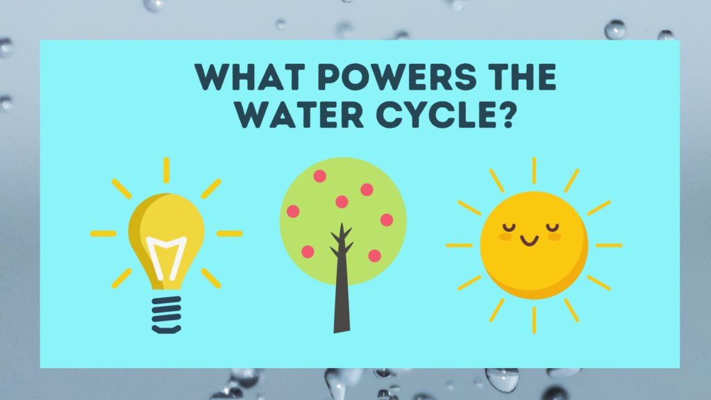 Water Cycle Science Digital Boom Card Deck | Made By Teachers
