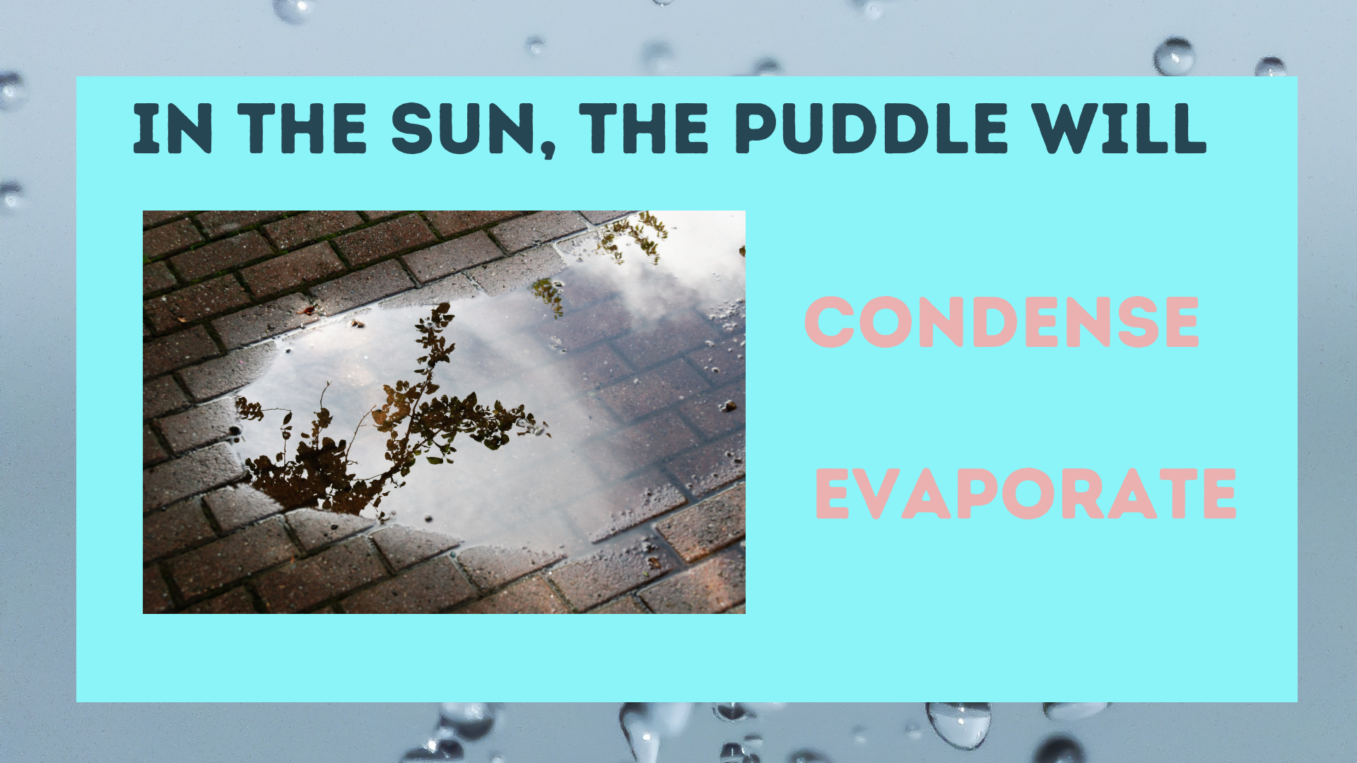 Water Cycle Science Digital Boom Card Deck | Made By Teachers