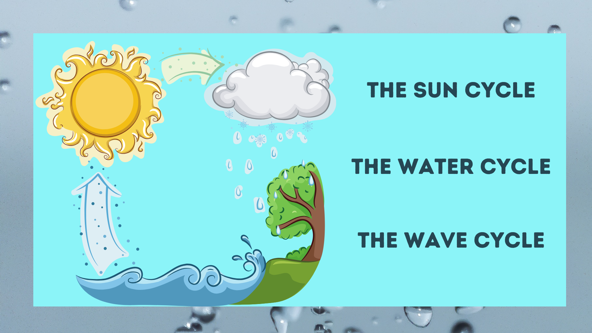 Water Cycle Science Digital Boom Card Deck | Made By Teachers