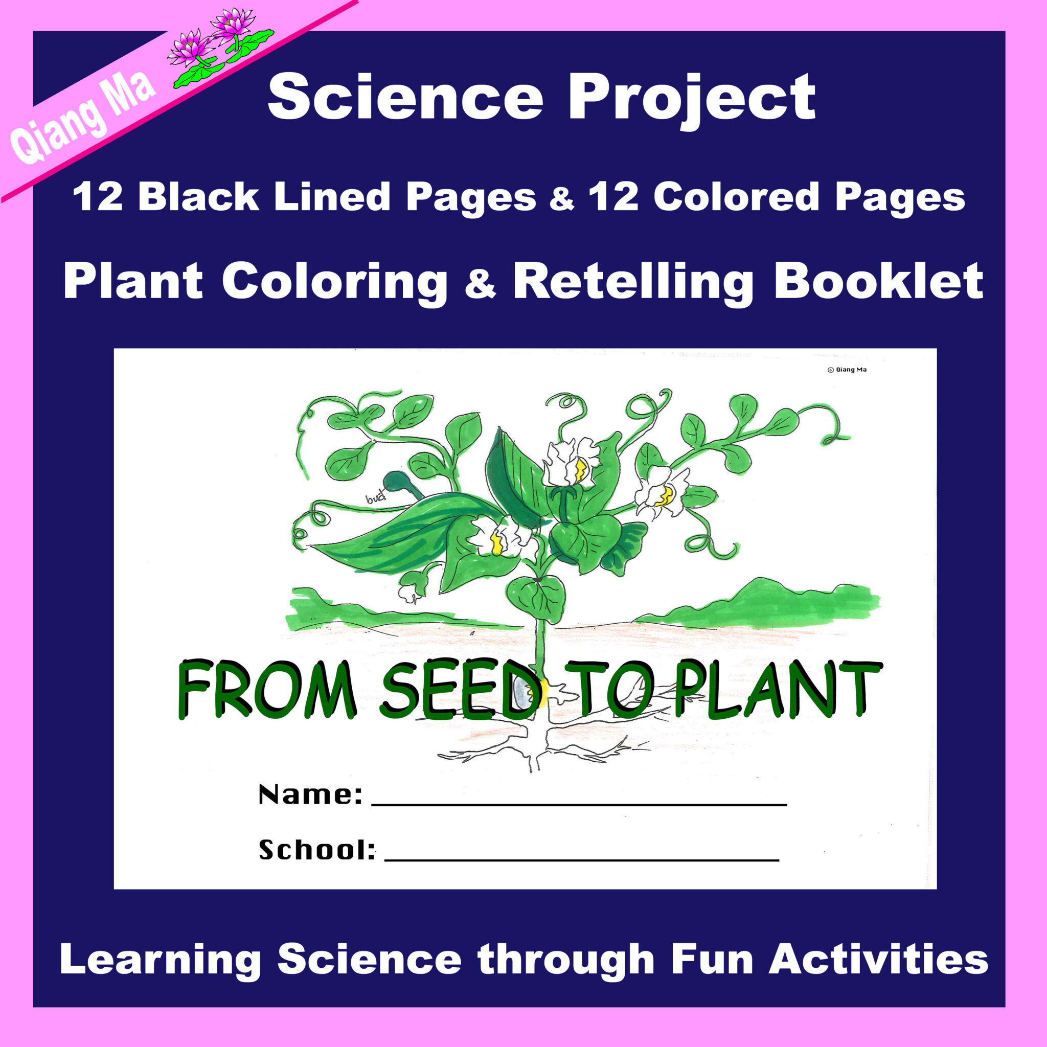 Science Project: Plant Booklet: From Seed to Plant | Made By Teachers
