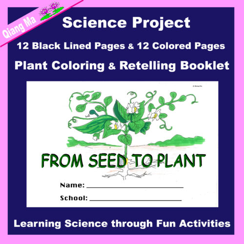 Science Project: Plant Unit | Made By Teachers