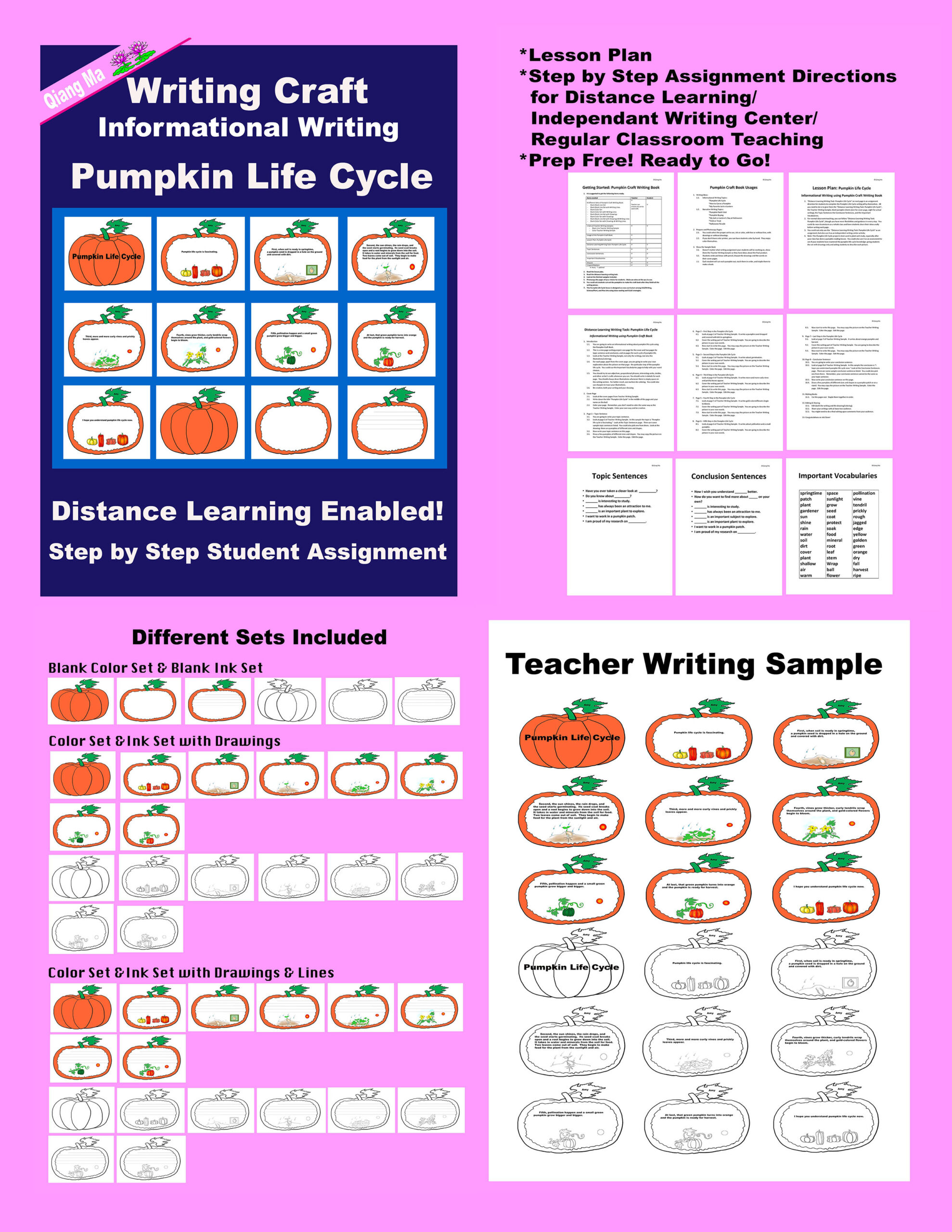 Informational Writing Craft: Pumpkin Life Cycle | Made By Teachers