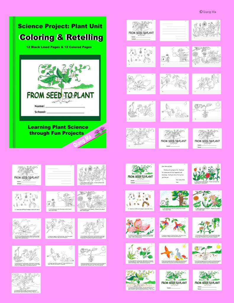 Science Project: Plant Unit - Made By Teachers