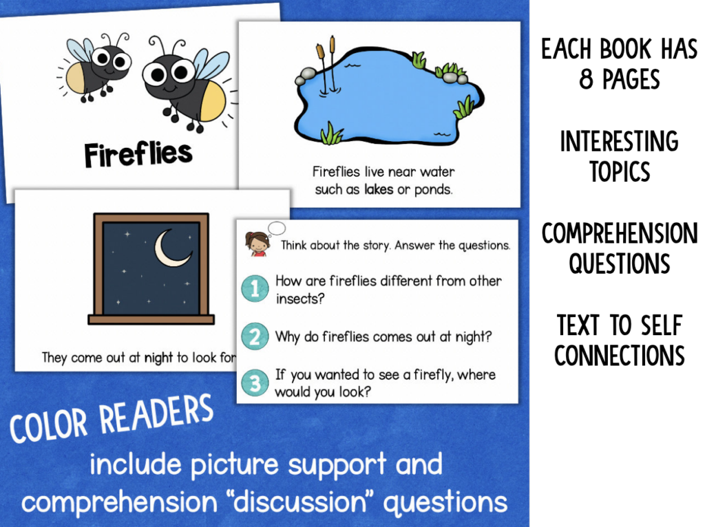 SUMMER Decodable Readers BUNDLE Comprehension Activities Sight Words ...