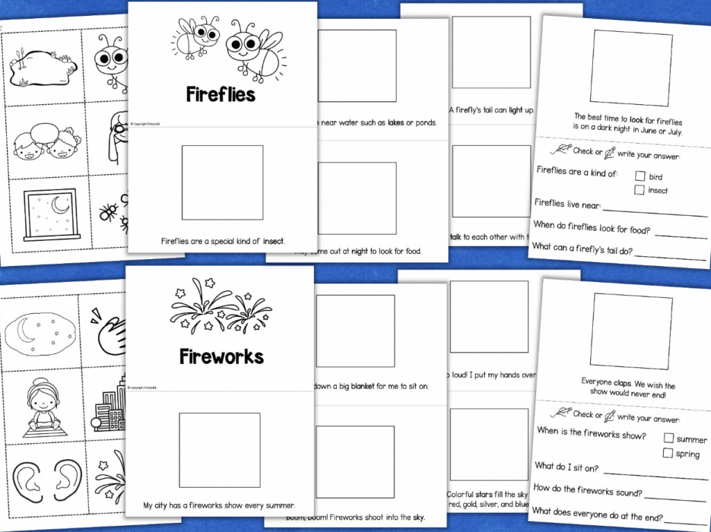 SUMMER Decodable Readers BUNDLE Comprehension Activities Sight Words ...