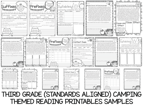 Third Grade Camping Themed Worksheets {100 Standards Aligned Printables ...