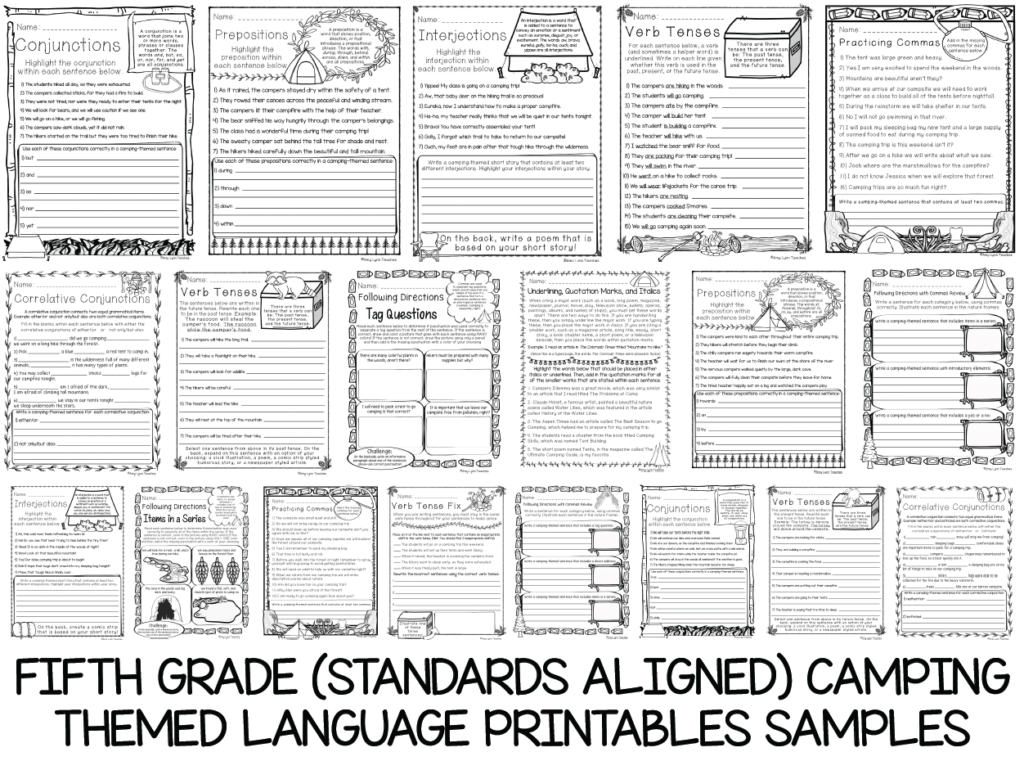 Fifth Grade Camping Themed Worksheets {100 Standards Aligned Printables ...