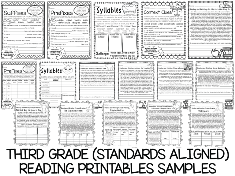 Third Grade Worksheets {100 Standards Aligned Printables} | Made By ...