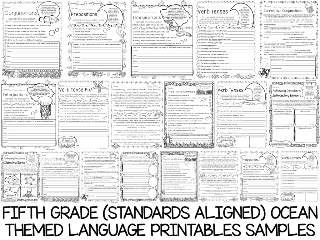 Fifth Grade Ocean Themed Worksheets {100 Standards Aligned Printables ...