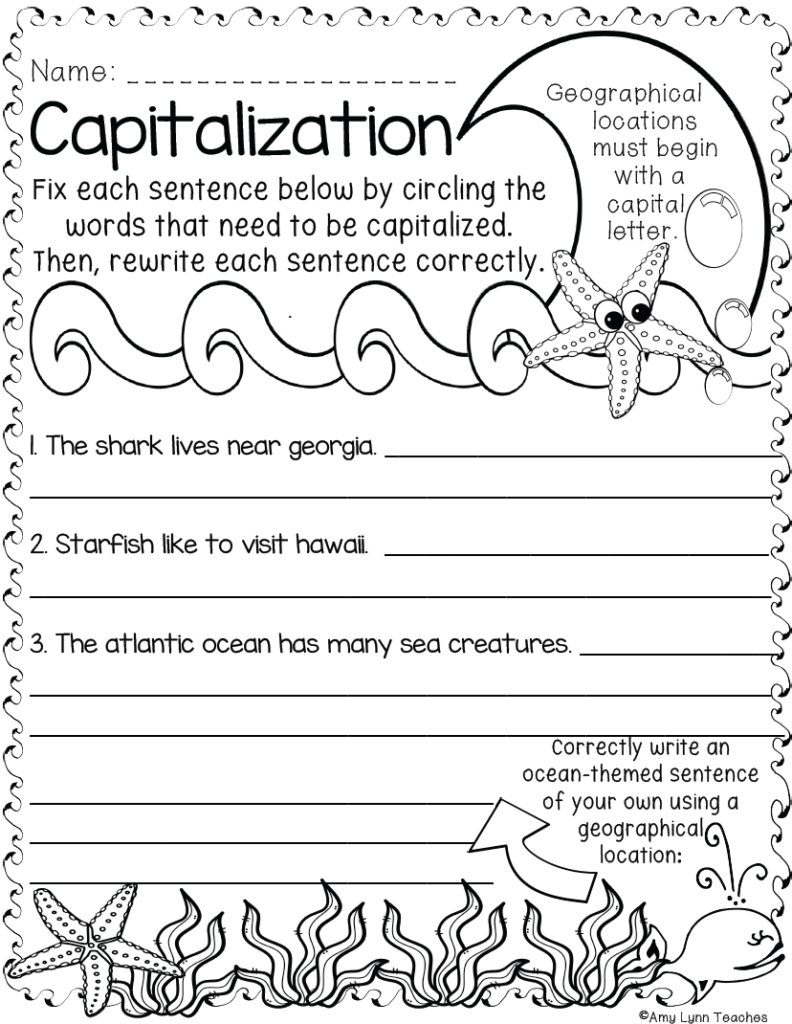 Second Grade Ocean Themed Worksheets {100 Standards Aligned Printables ...