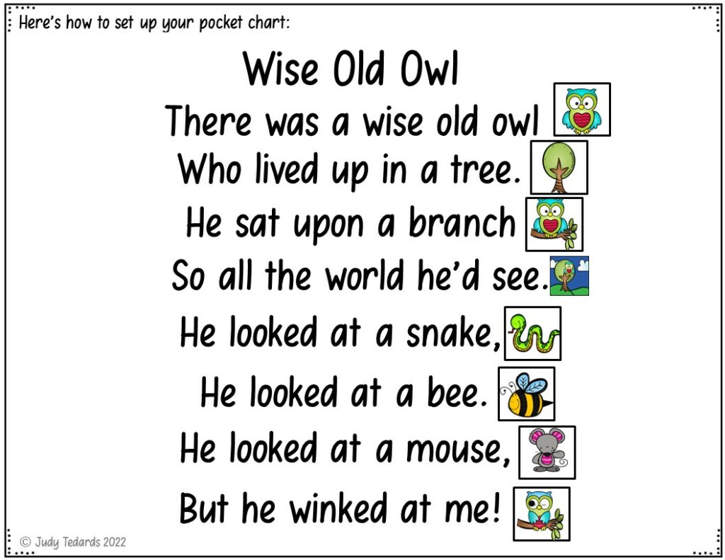 Owl BUNDLE {Pocket Chart Poems and Songs} | Made By Teachers