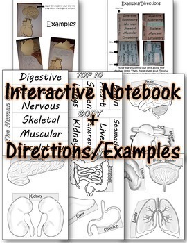 Human Body Systems Pack - Printables / Google Classroom / Distance ...