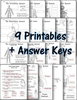 Human Body Systems Pack - Printables / Google Classroom / Distance ...