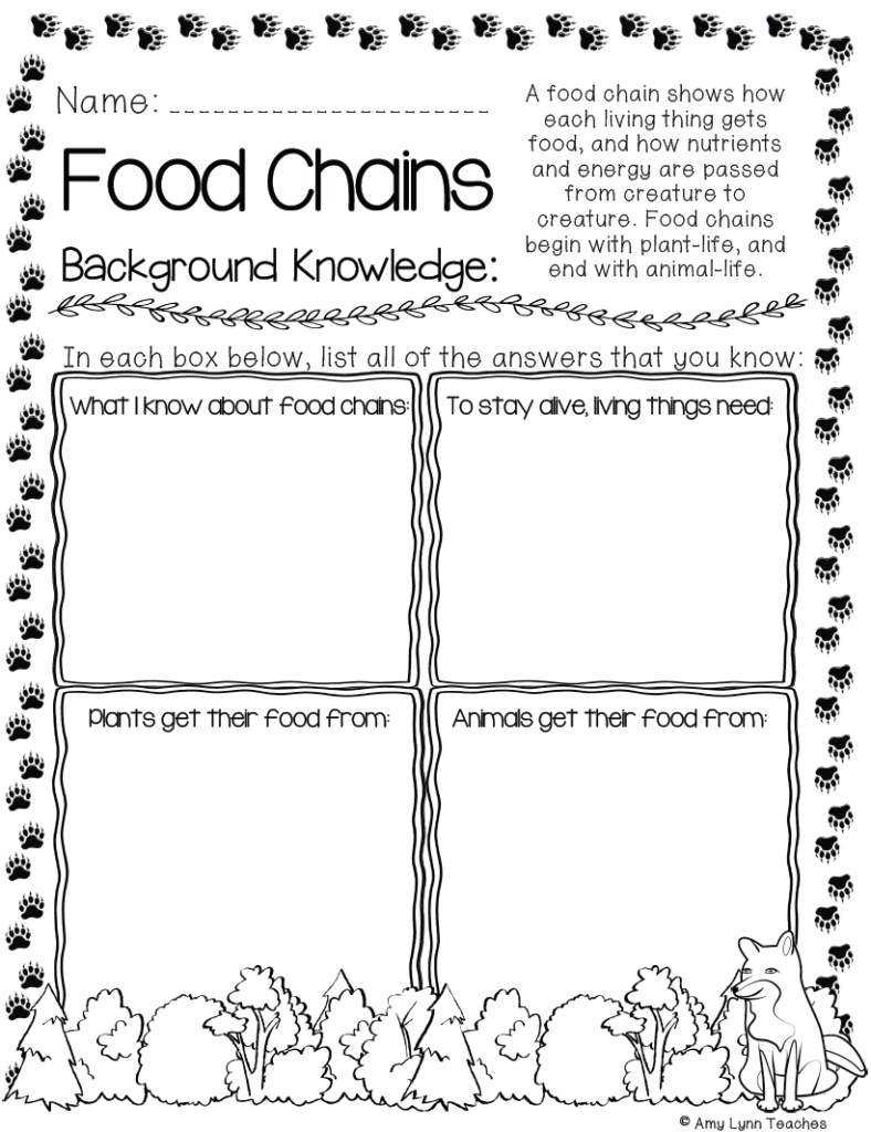 Food Chains Unit Helper | Made By Teachers