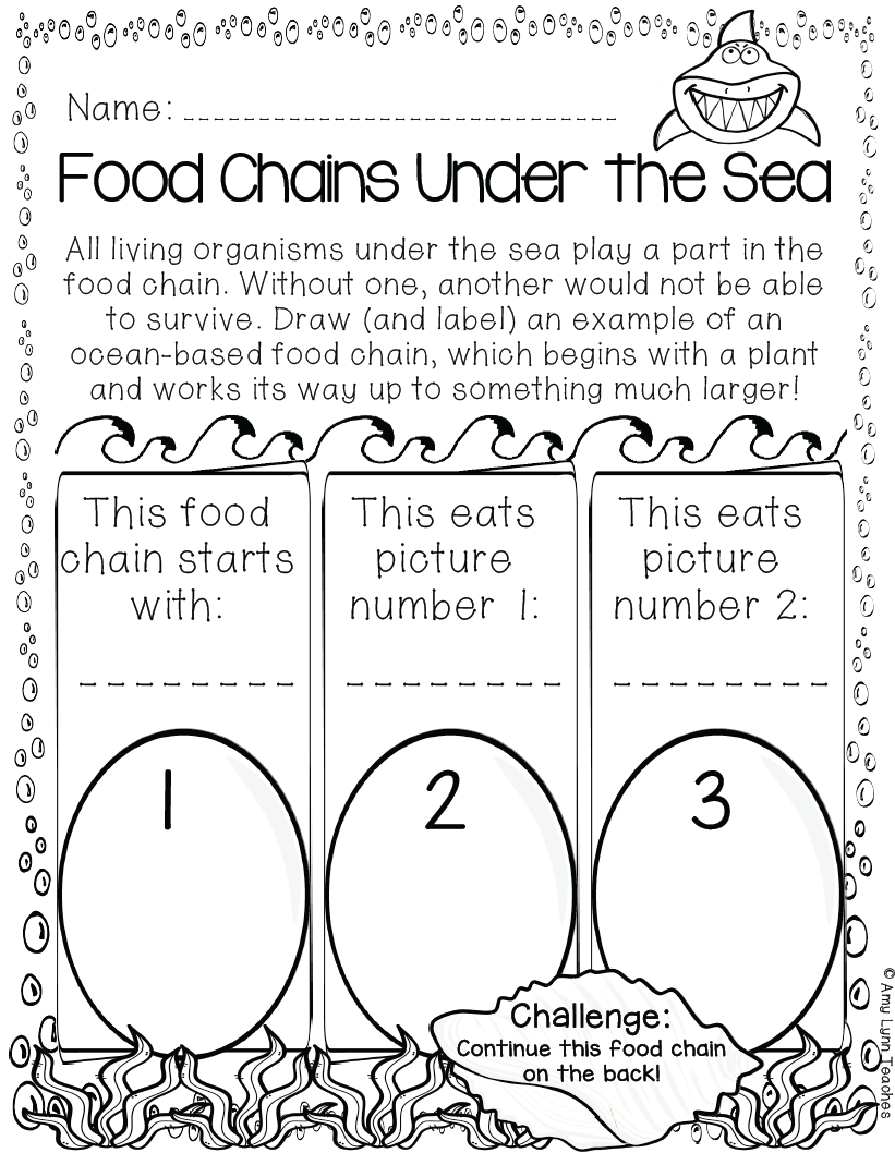 Food Chains Unit Helper | Made By Teachers