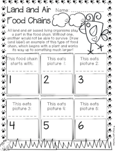 Food Chains Unit Helper - Made By Teachers