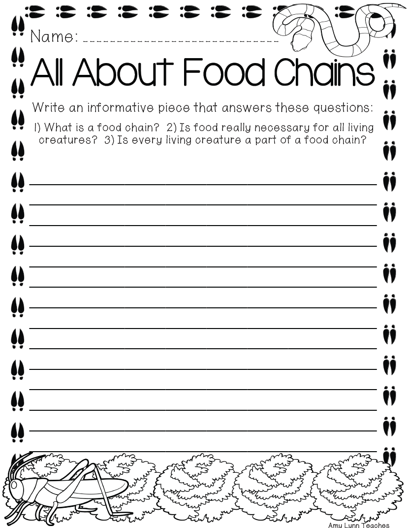 Food Chains Unit Helper | Made By Teachers