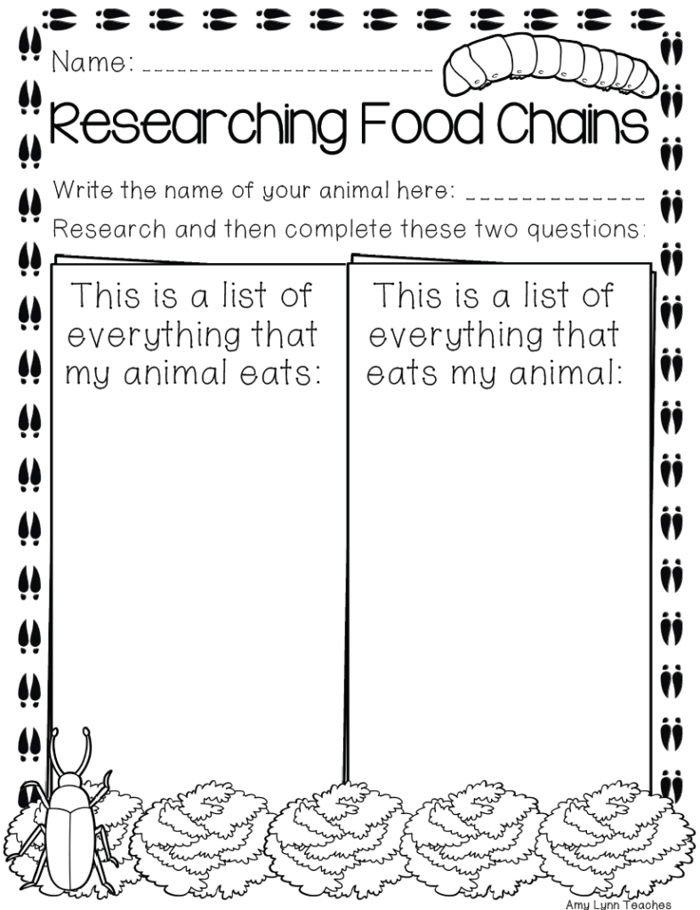 Food Chains Unit Helper | Made By Teachers