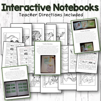 Animal Adaptations – Printables / Google Classroom / Distance Learning ...