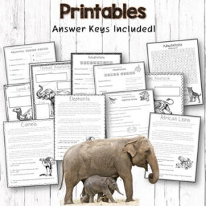 Animal Adaptations – Printables / Google Classroom / Distance Learning ...