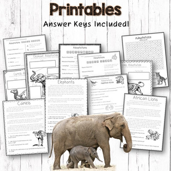 Animal Adaptations – Printables / Google Classroom / Distance Learning ...