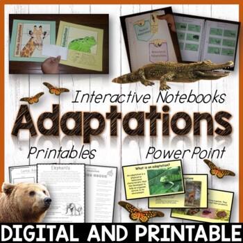 Animal Adaptations – Printables / Google Classroom / Distance Learning ...