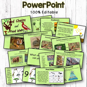 Food Chains & Food Webs - Printables / Google Classroom / Distance ...