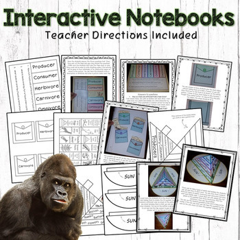 Food Chains & Food Webs - Printables / Google Classroom / Distance ...