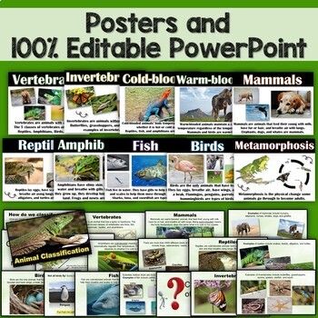 Animal Classification Unit: Vertebrates, Invertebrates, Distance ...