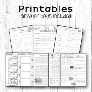 Fossils Pack - mold, cast, true-form, trace, paleontologist / Distance ...