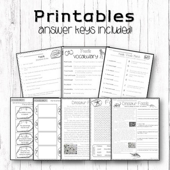 Fossils Pack - mold, cast, true-form, trace, paleontologist / Distance ...